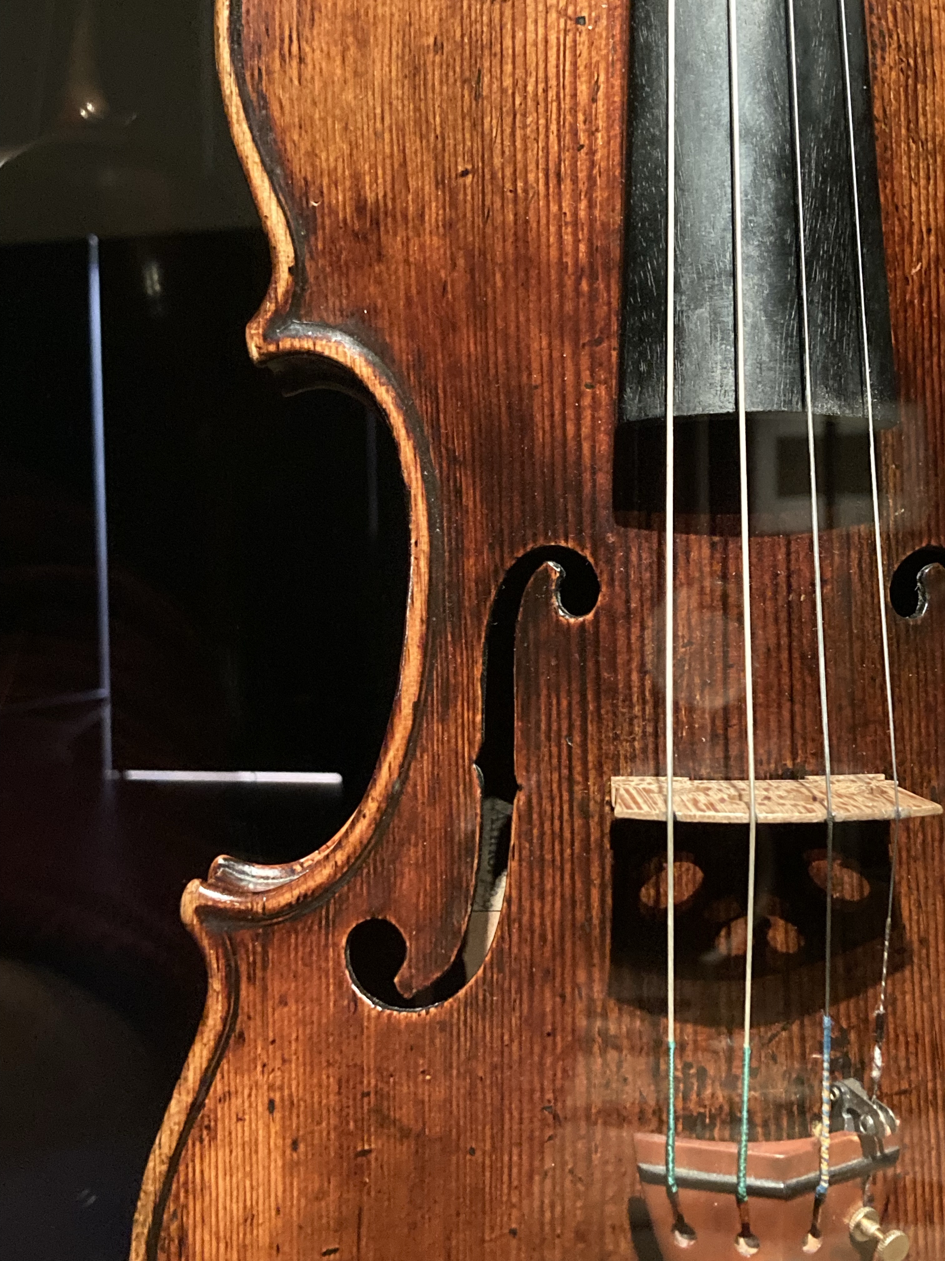 Viola by Matteo Goffriller, Venice, 1710 - Niam Chauhan Violins